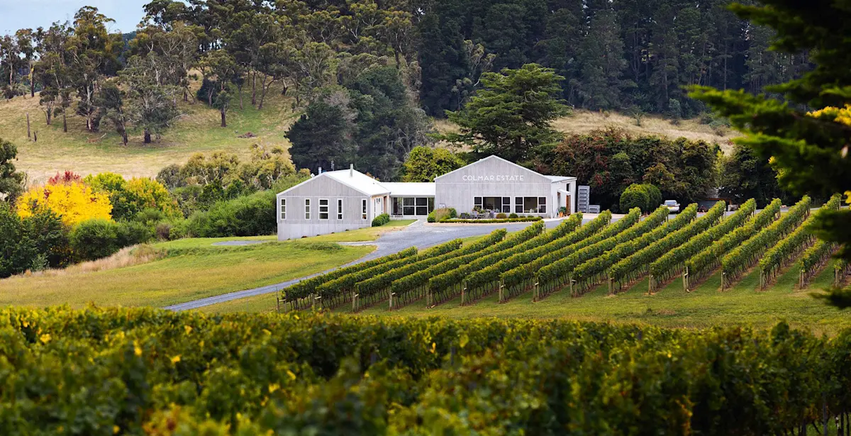 Colmar Estate Orange Book A Wine Tasting