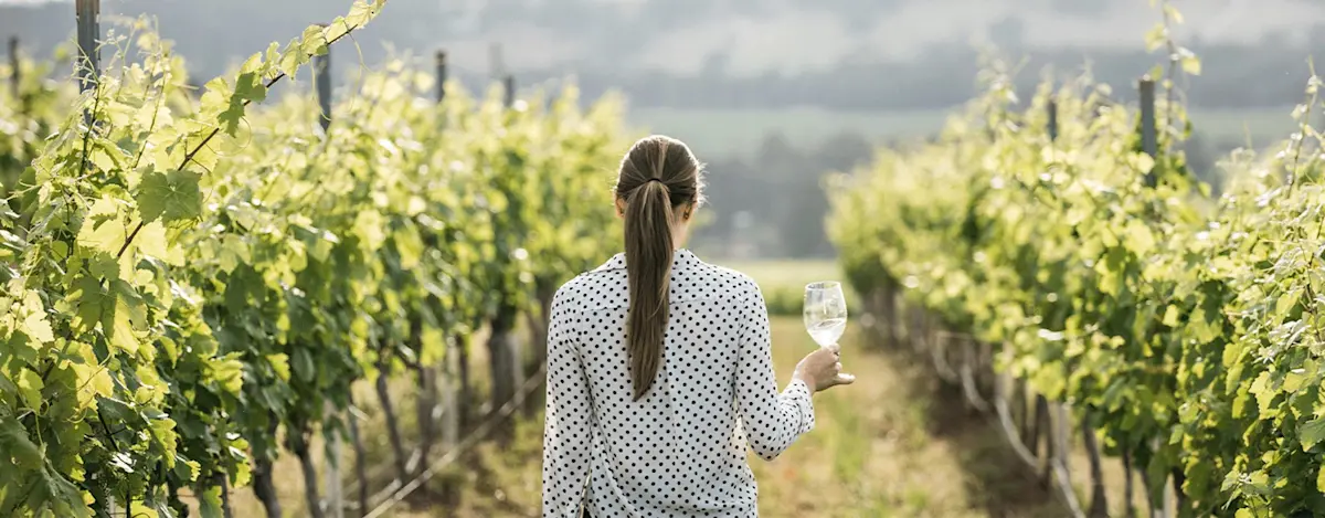 McGuigan Wines, Hunter Valley - Book a Wine Tasting