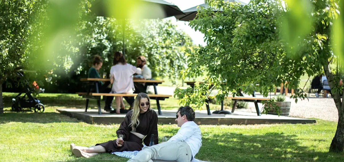 Meander Valley Vineyard, North West Tasmania - Book a Wine Tasting