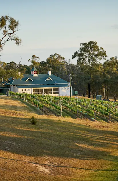 Wandin Estate, Hunter Valley - Book a Wine Tasting