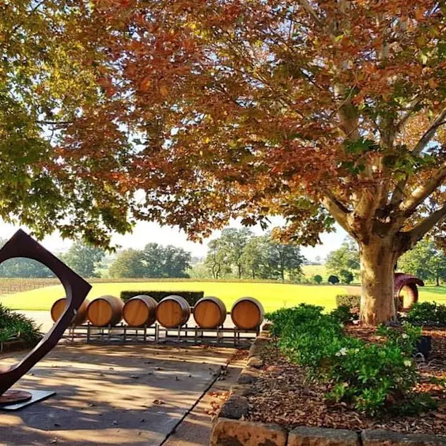 Dalwood Estate, Hunter Valley - Book a Wine Tasting