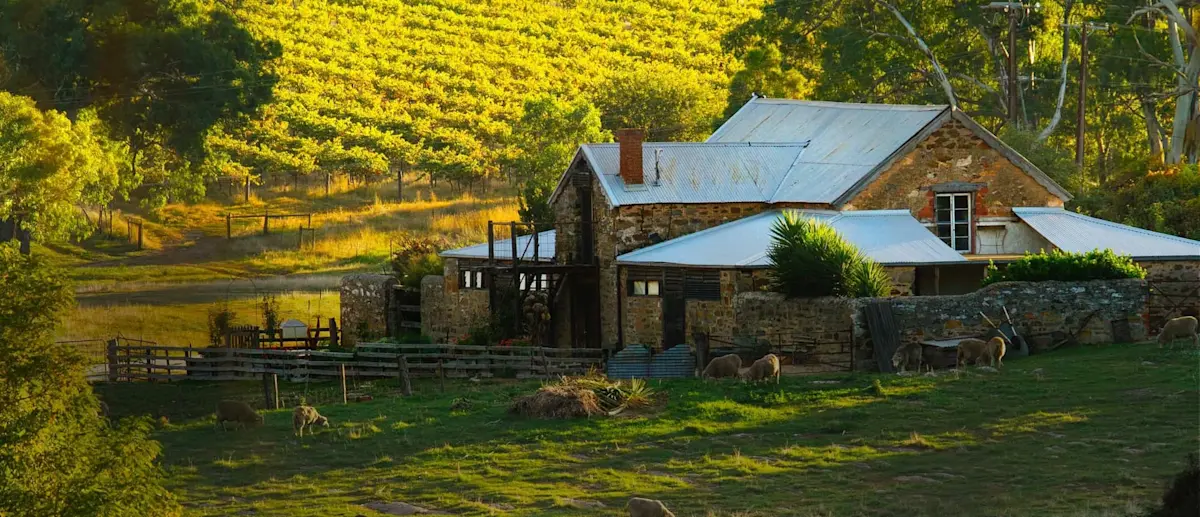 Hutton Vale Farm, Eden Valley - Book a Wine Tasting