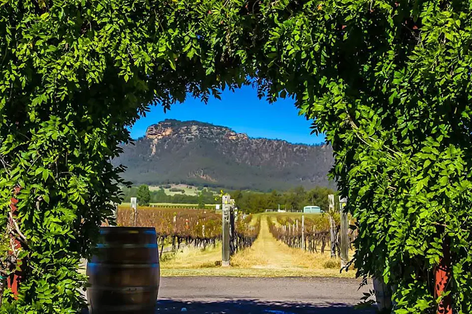 Nightingale Wines, Hunter Valley - Book a Wine Tasting