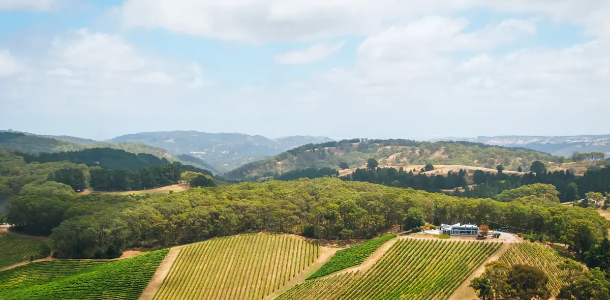 56 best Adelaide Hills Wineries & Cellar Doors to visit in 2026