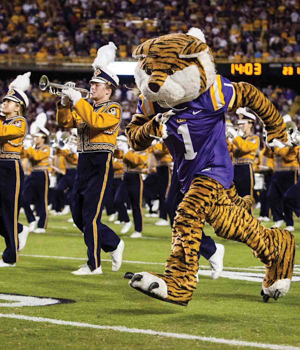 Get to Know Our Campus Mascots | Shorelight