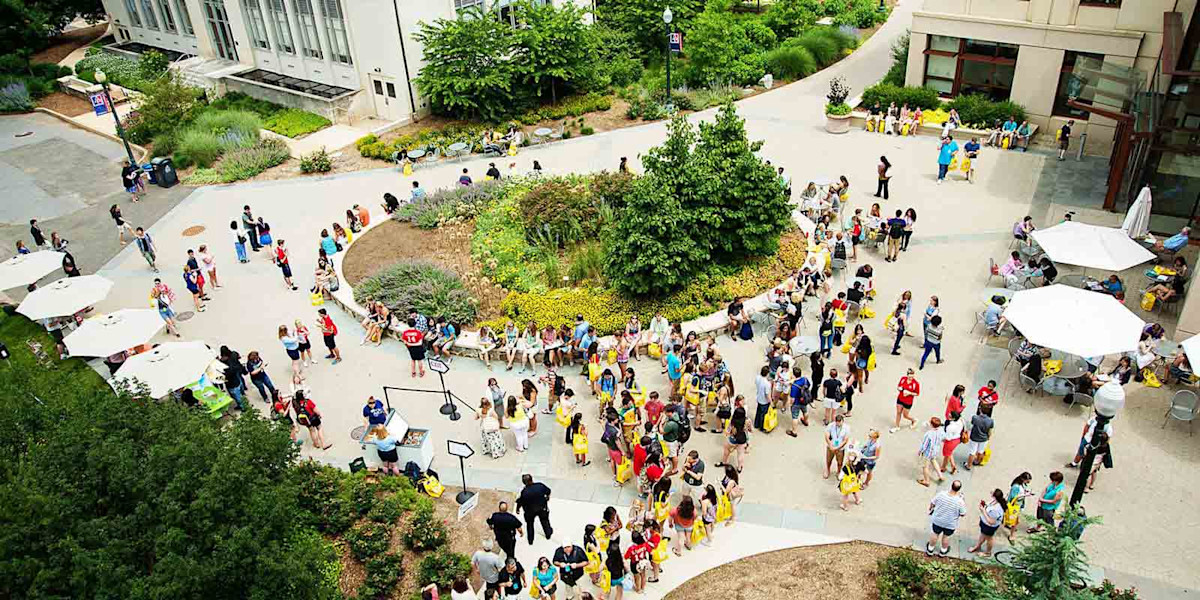 American University