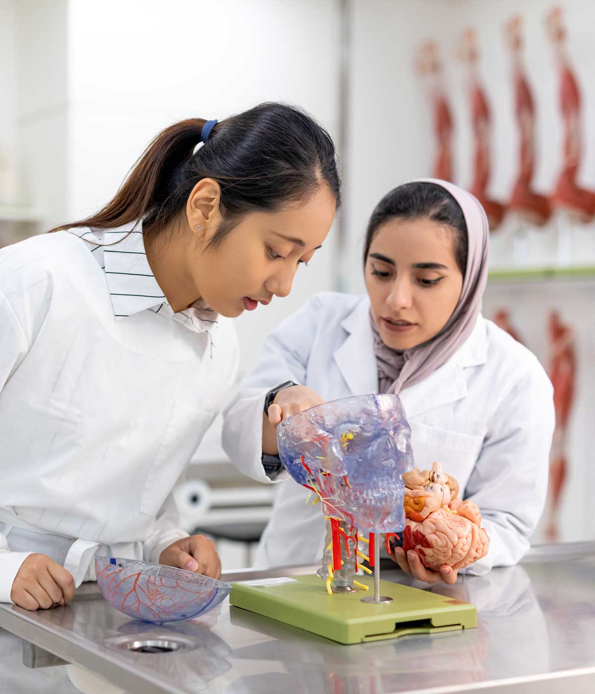 What is a Biology Degree Like in the US? | Shorelight