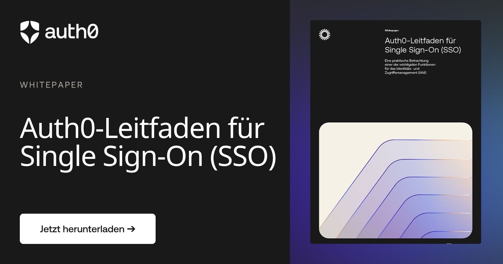 Auth0 | Leitfaden für Entwickler: Single Sign-On (SSO) | Auth0