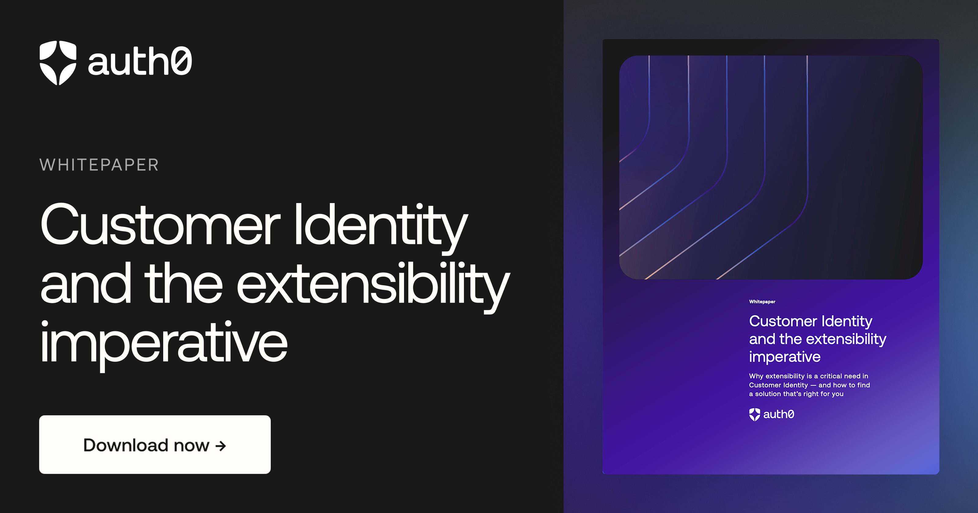 Auth0 | Customer Identity and the extensibility imperative