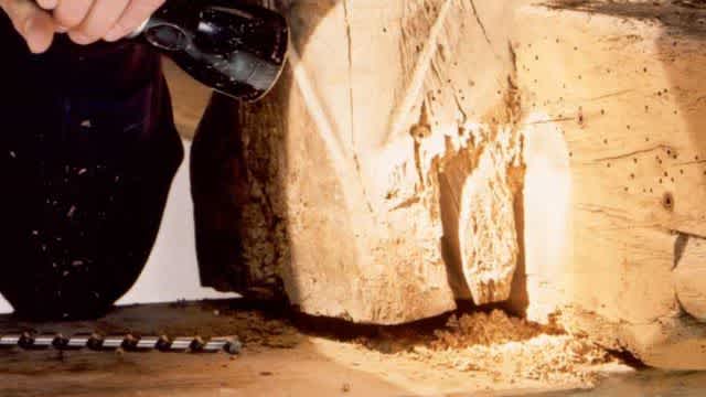 Houtworm bestrijden | GAMMA.be