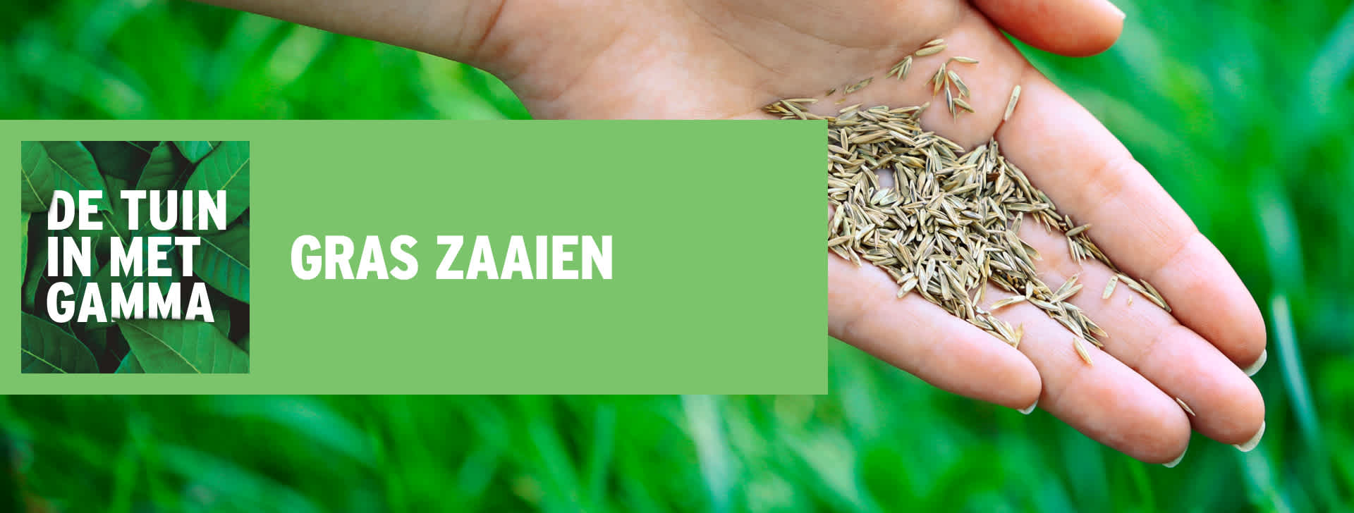 Gazon zaaien? Ga aan de slag met deze tips! | GAMMA