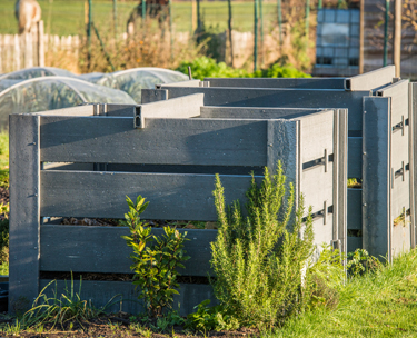 Choisir du terreau : quel terreau pour ma plante ? | GAMMA