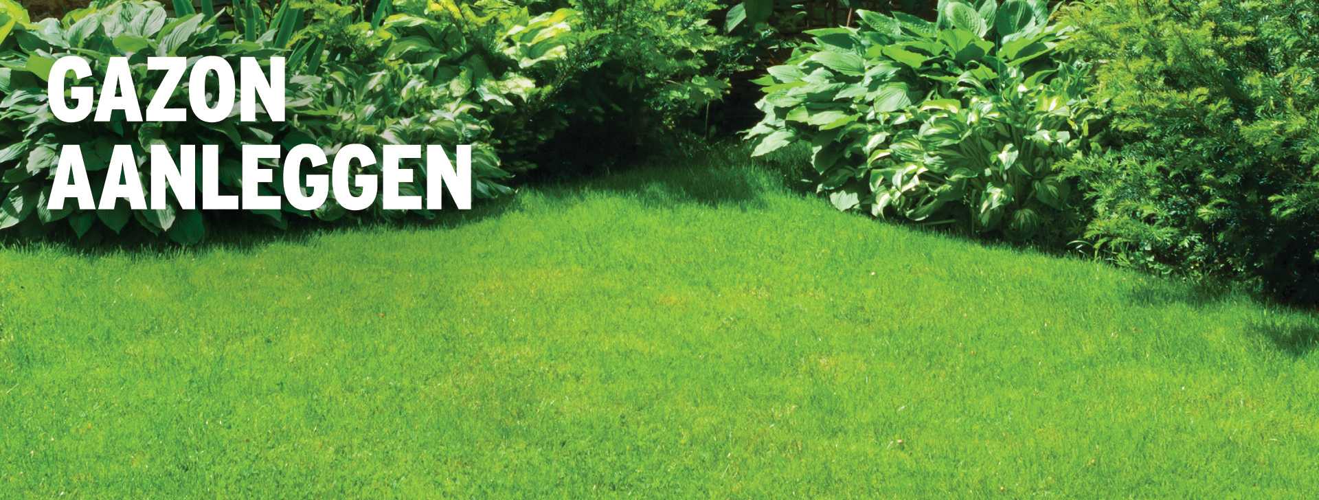 Nieuw gazon aanleggen? Volg dit stappenplan | GAMMA