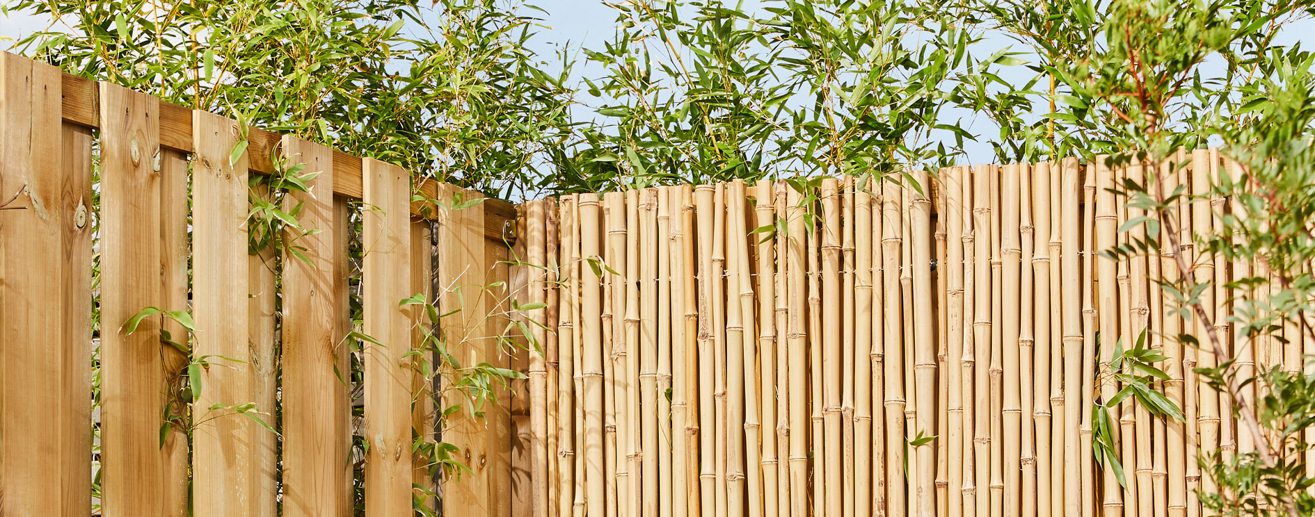 Tuinontwerp: duurzame tuin | GAMMA