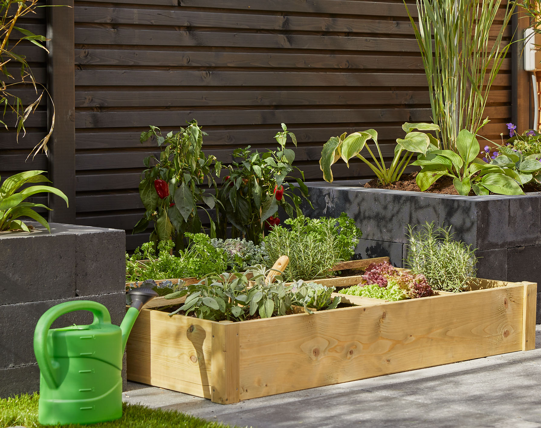 5 tips voor een duurzame tuin | GAMMA