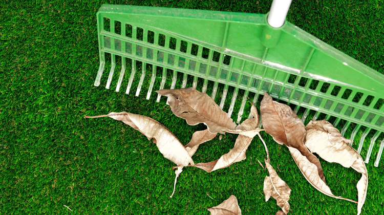 Poser du gazon artificiel ? Suivez notre tuto | GAMMA