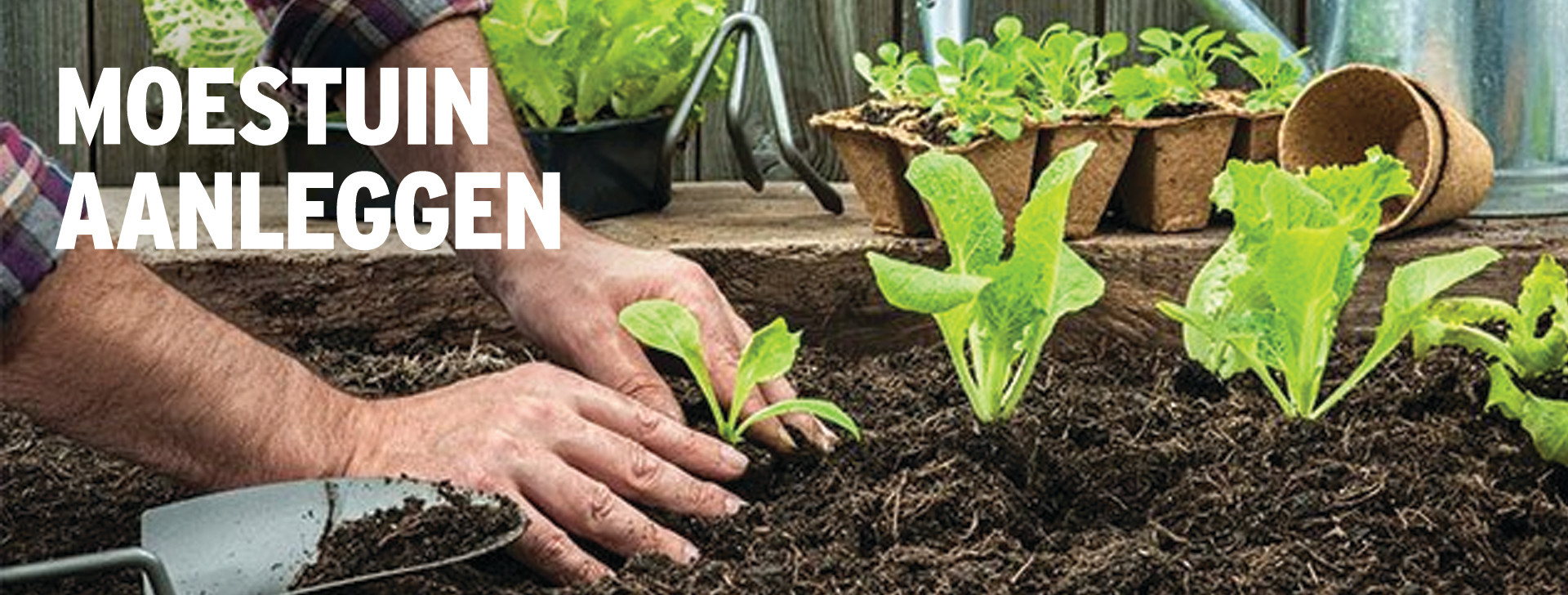 Moestuin aanleggen? Ontdek hoe je er aan begint | GAMMA