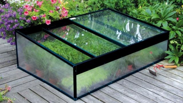 Moestuin aanleggen? Ontdek hoe je er aan begint | GAMMA