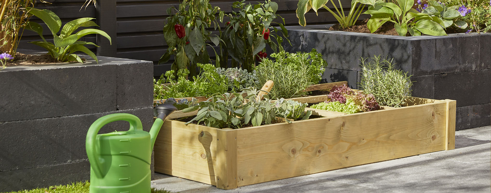 Tuinontwerp: duurzame tuin | GAMMA