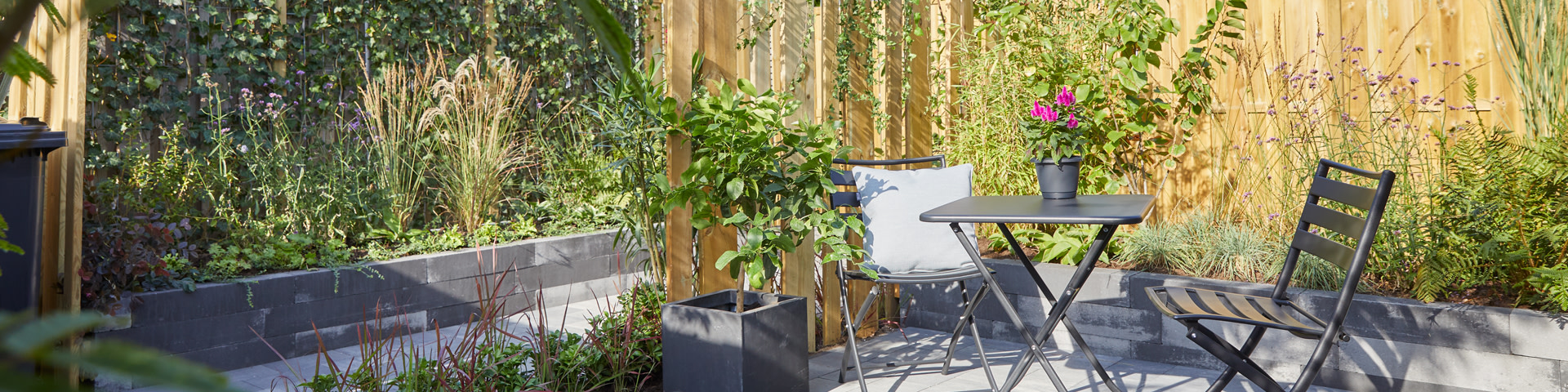 Meer privacy in je tuin? Ontdek onze tips! | GAMMA