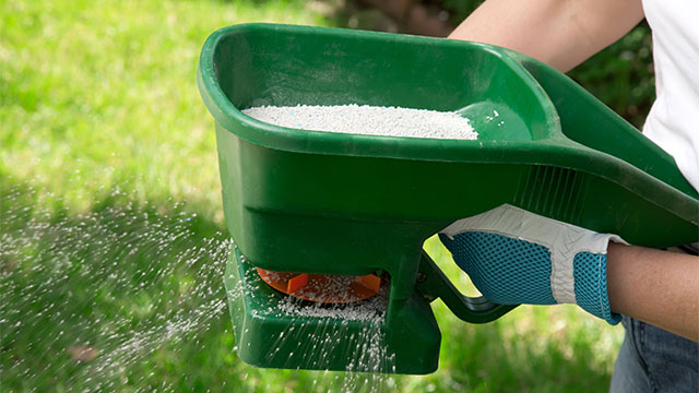 Chauler le gazon ? Suivez notre tuto | GAMMA