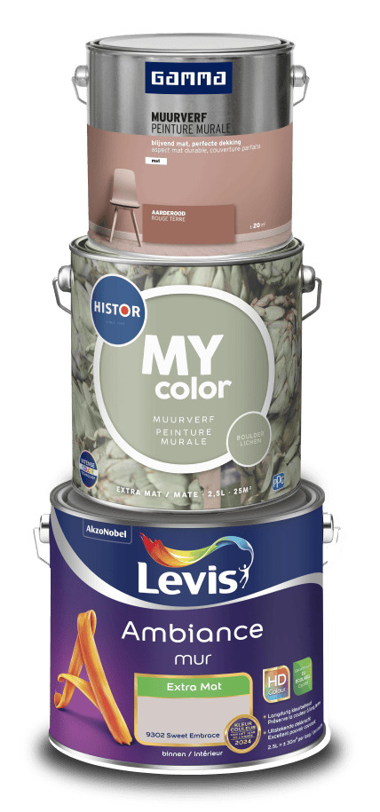 -25 % sur toutes les peintures cette semaine | GAMMA