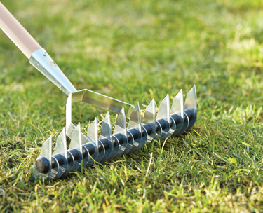 Onkruid uit gazon verwijderen? Bekijk deze tips! | GAMMA