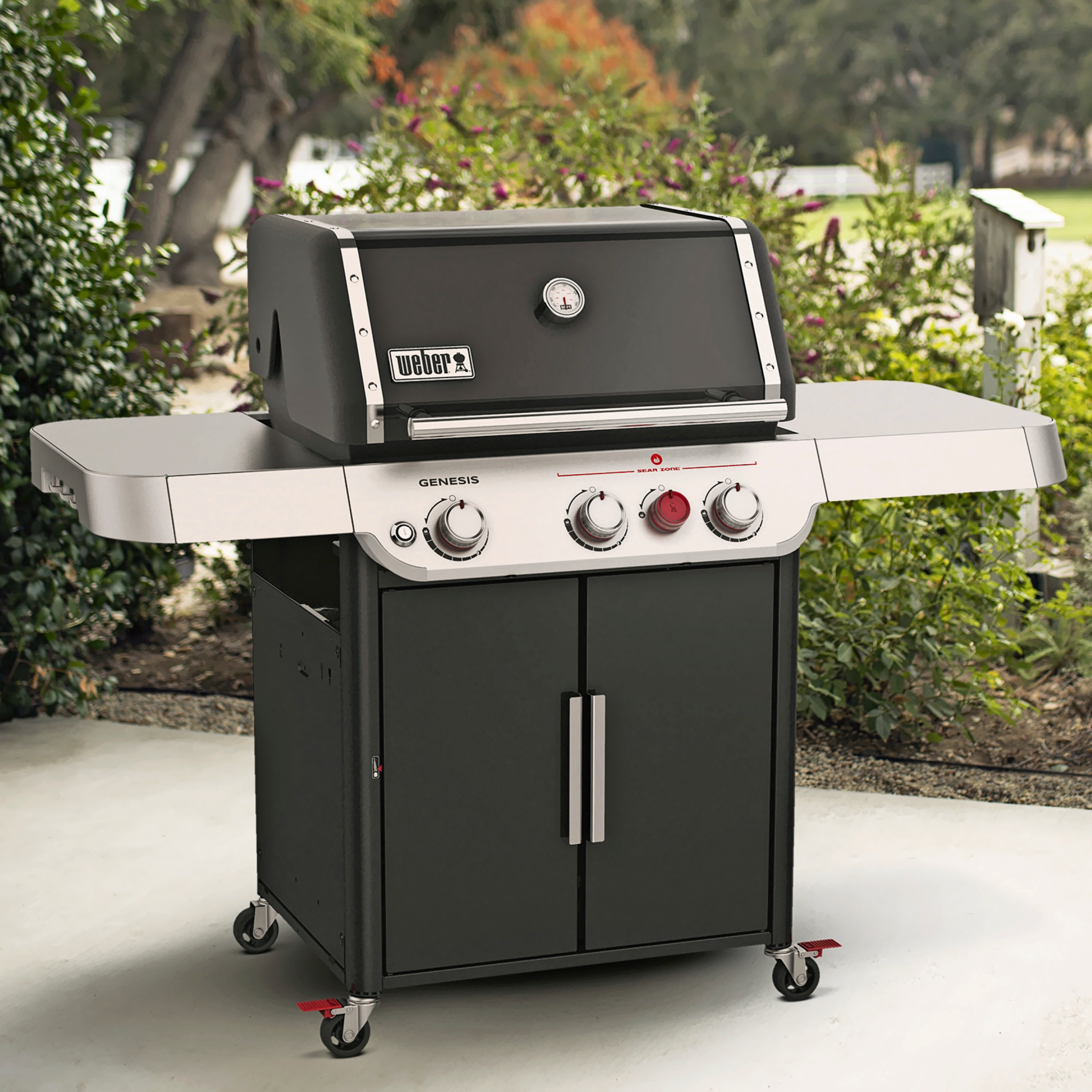 weber-genesis-2480x2480.png?fm=jpg&w=1200&h=630&q=75&fit=fill