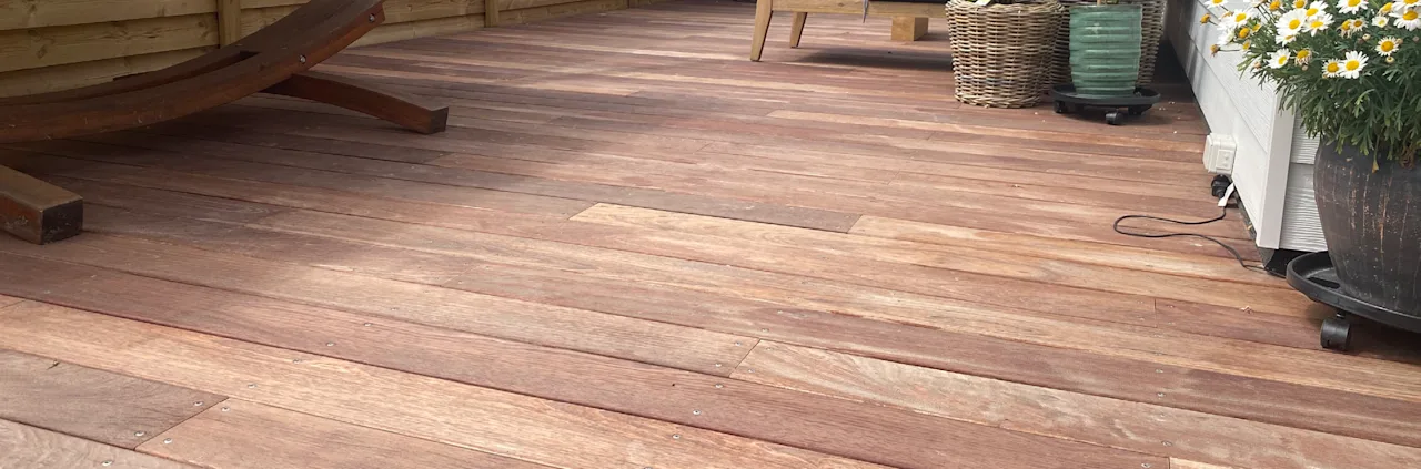 Global Timber | XL-BYG