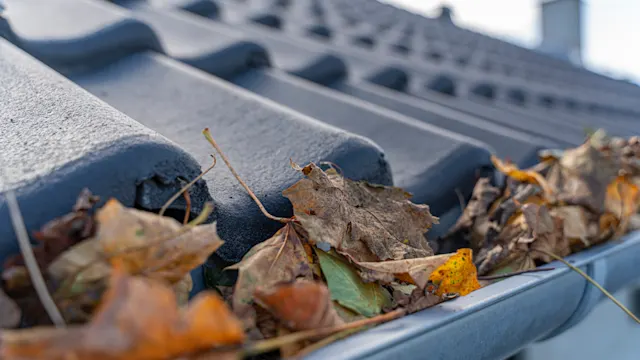 Forside Rens tagrender trin-for-trin