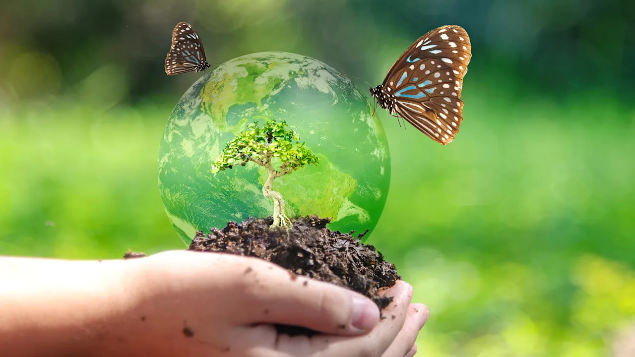 Biodiversitet i haven » Få inspiration til en vildere have | XL-BYG