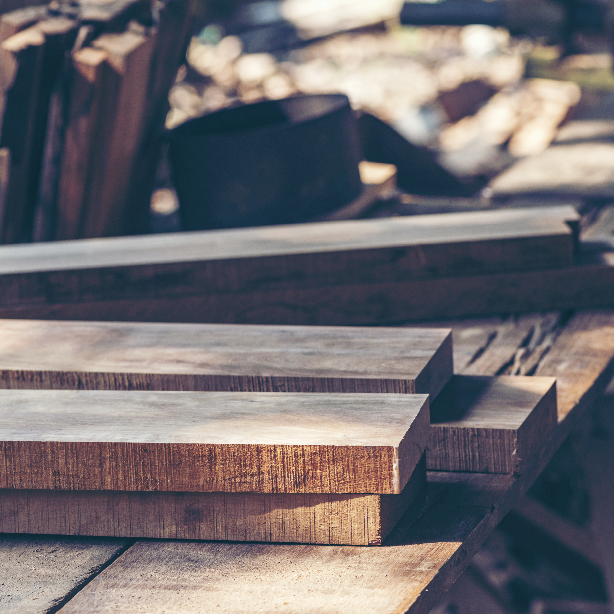 Guide: Trækvaliteter - Vælg det rigtige træ til dit DIY-projekt