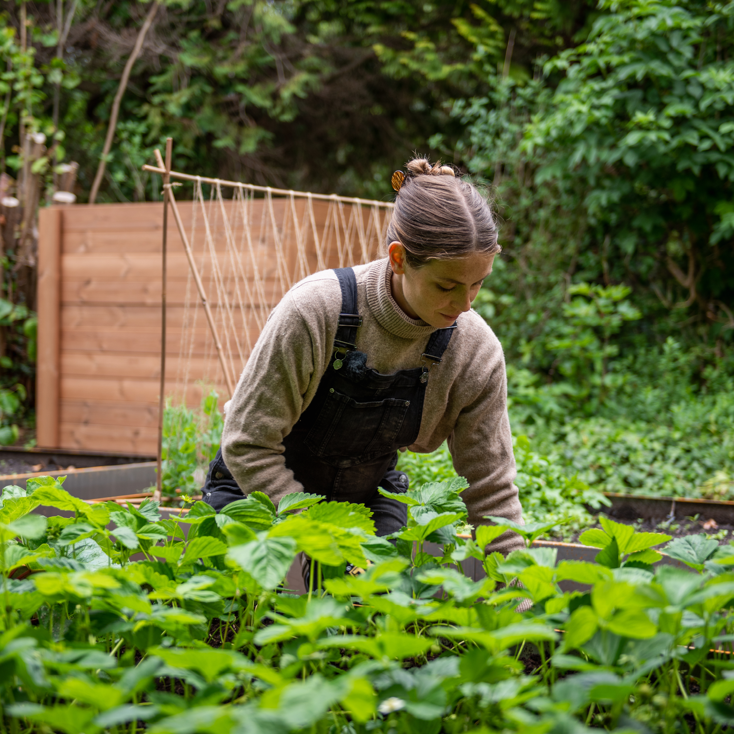 Få god havejord » Stor guide om spagnum og humus jord | XL-BYG