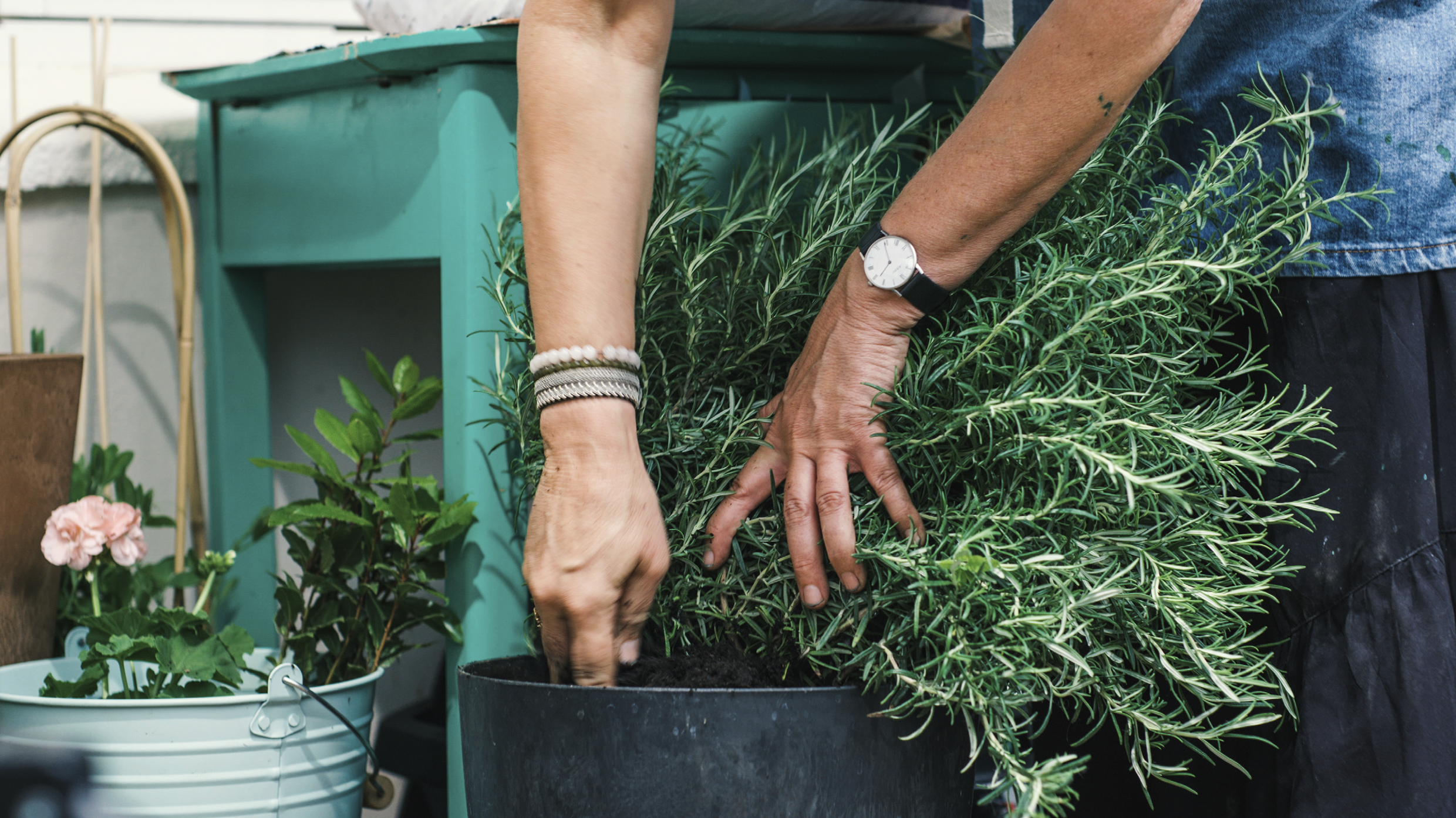 signe-wenneberg-altan-2480x1395.png?fm=jpg&w=1200&h=630&q=75&fit=fill