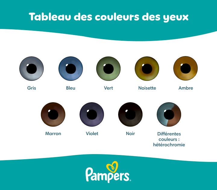 Tableau Des Couleurs Des Yeux Humains Iris Des Yeux | STUDIO & ATELIER
