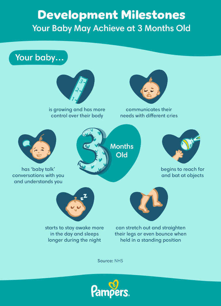Baby Stages Month By Month