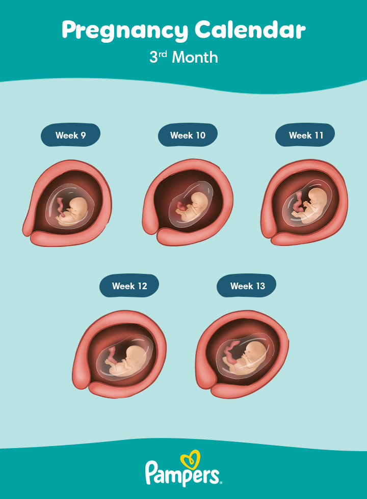3 Days Pregnant Symptoms