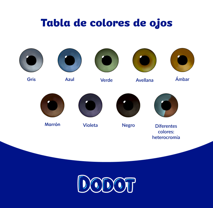 Tabla De Colores De Ojos CARTA DE COLORES NOVOSUBER | SUBERLEV