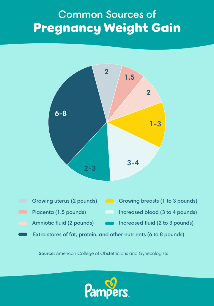 Average Weight Gain Pregnancy Chart How To Stay In Shape During And