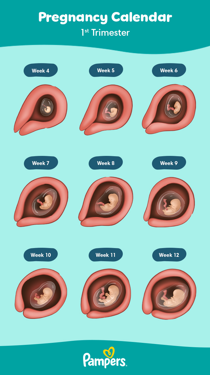 First Days Of Pregnancy