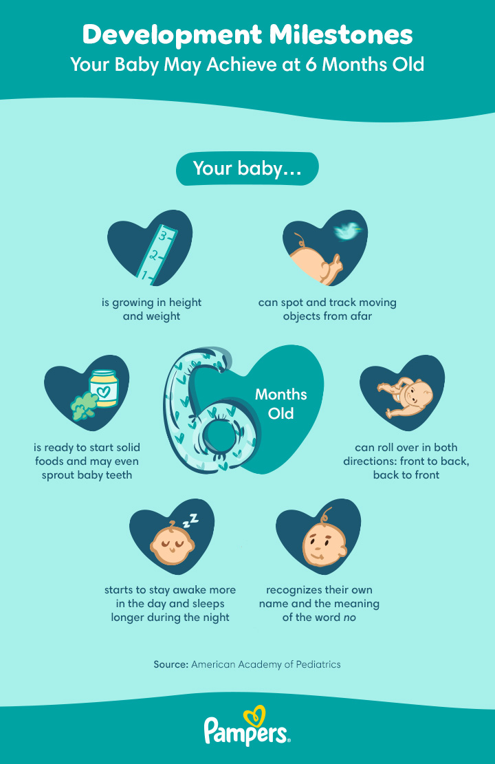 6 Month Milestone Checklist Baby Milestones: The Complete Guide To