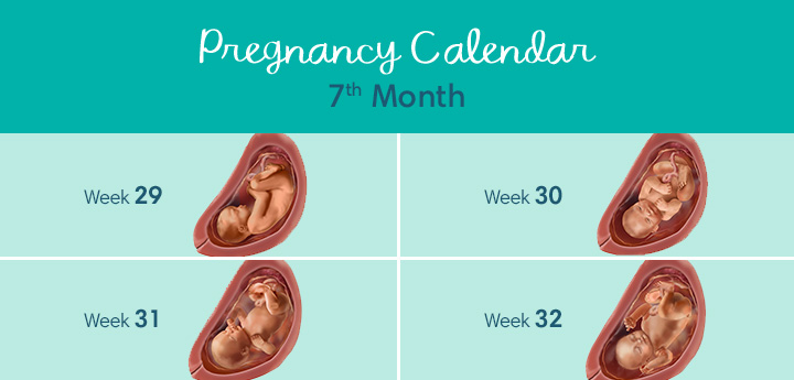 7 Months Pregnant Symptoms Pregnancy Weeks To Months How Many Weeks,