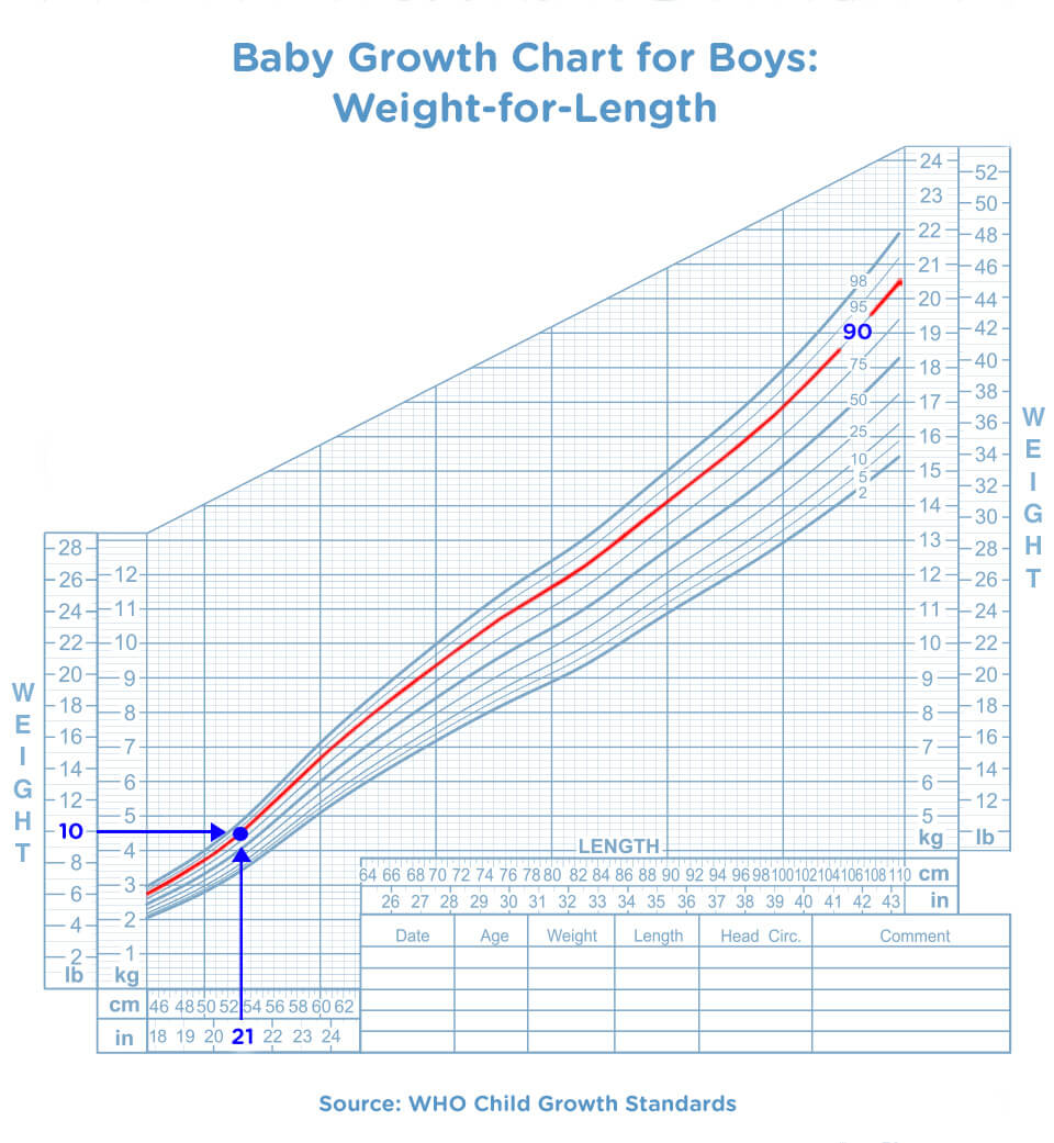 Fetal Growth Chart 4th Trimester Growth Chart