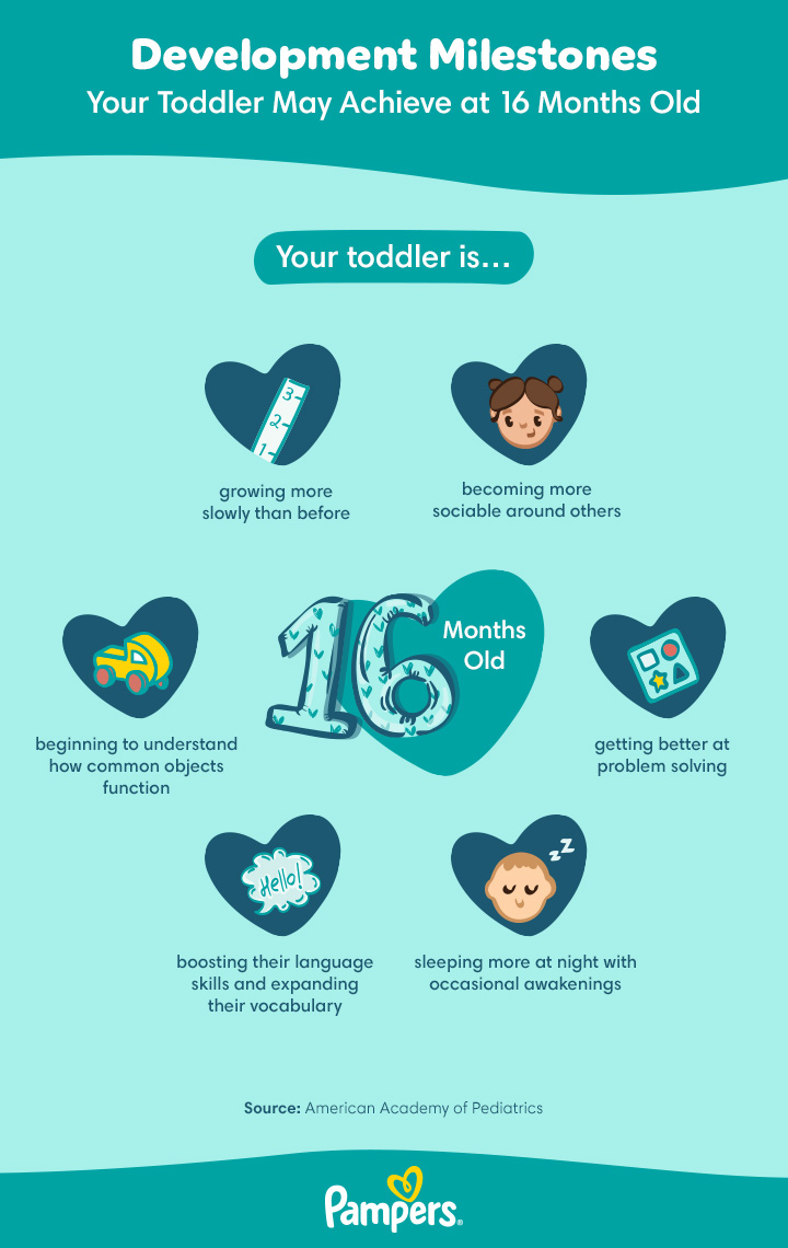 16 Month Old Growth Chart