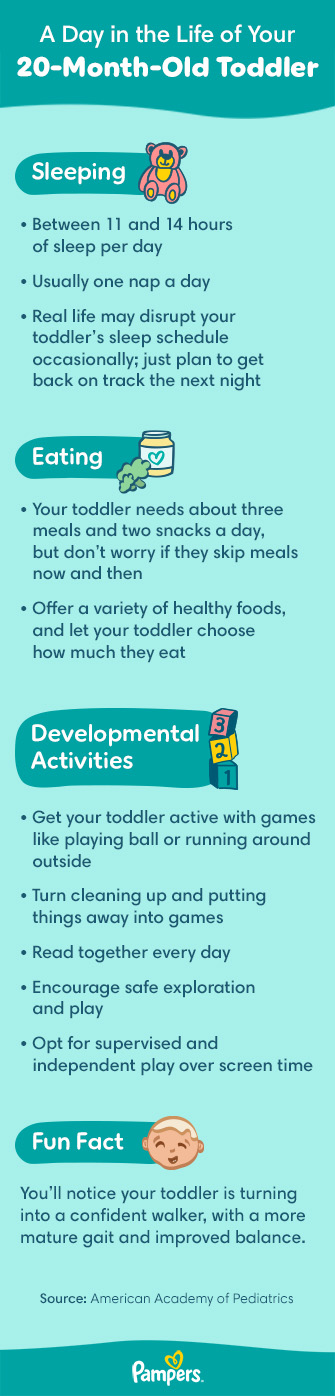 20 Month Old Milestones Chart 20 Month Old Baby Milestones