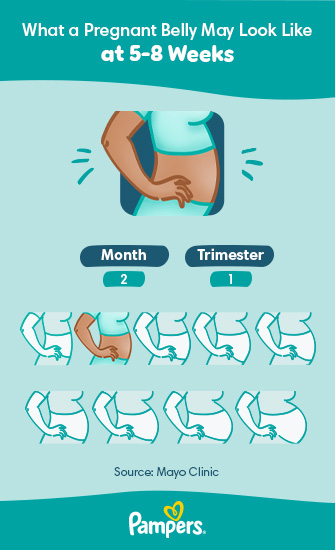 7 Weeks Pregnant Belly 28 Weeks Pregnant | Belly, Ultrasound And