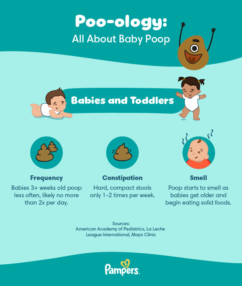 Normal Baby Poop Chart