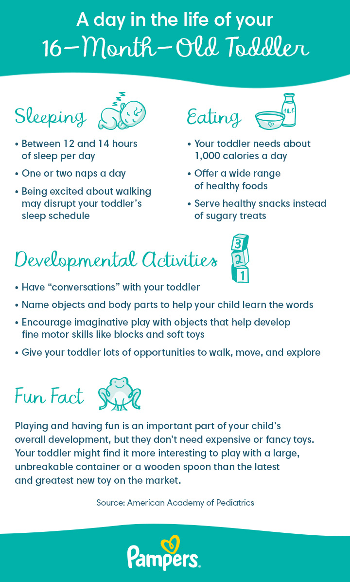 16 Month Old Development Checklist Child Development Chart — Child
