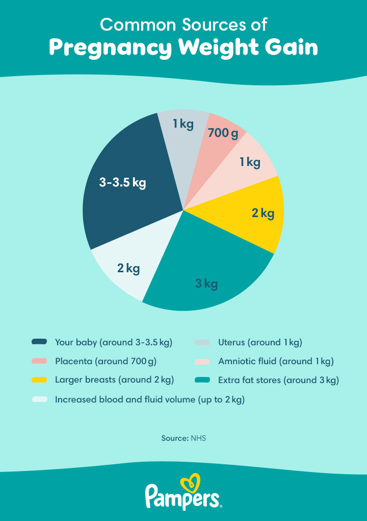 All About Pregnancy Weight Gain Infographic