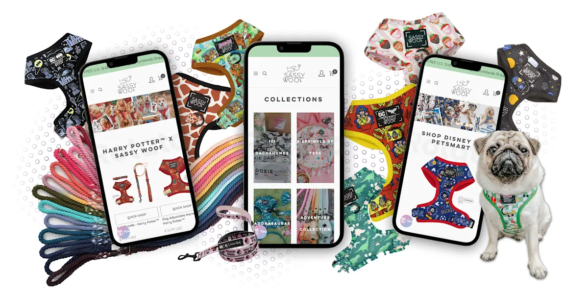 Shopify Design and Development for Sassy Woof | Goodbeast